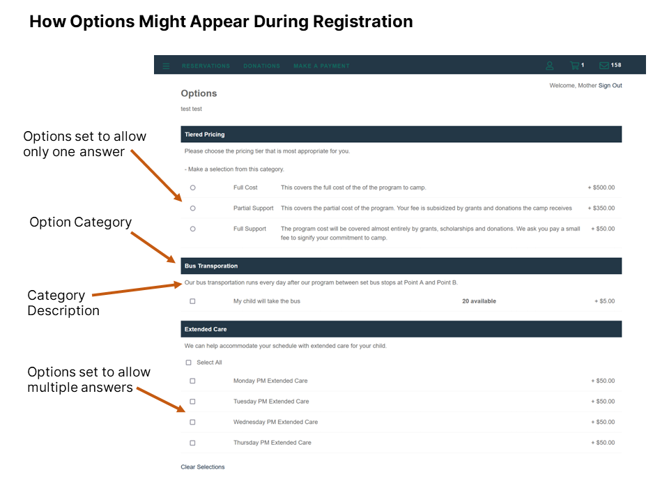 How Do Options Work? – UltraCamp